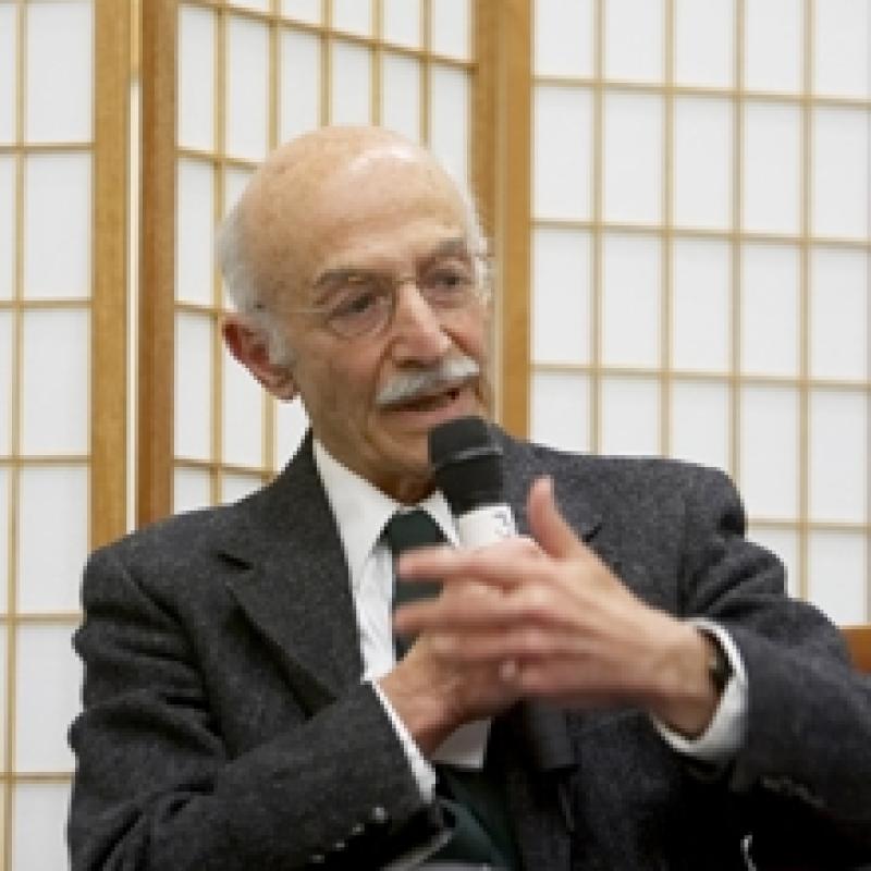 Paul Knitter on the Promise of Interreligious Dialogue | Ikeda Center ...